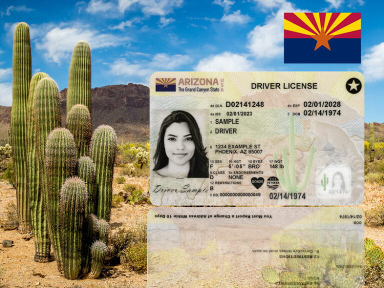 Infographic: Arizona Driver’s License - Keesing